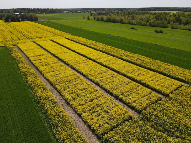 Staphyt - Prestataire en agroscience et affaires règlementaires