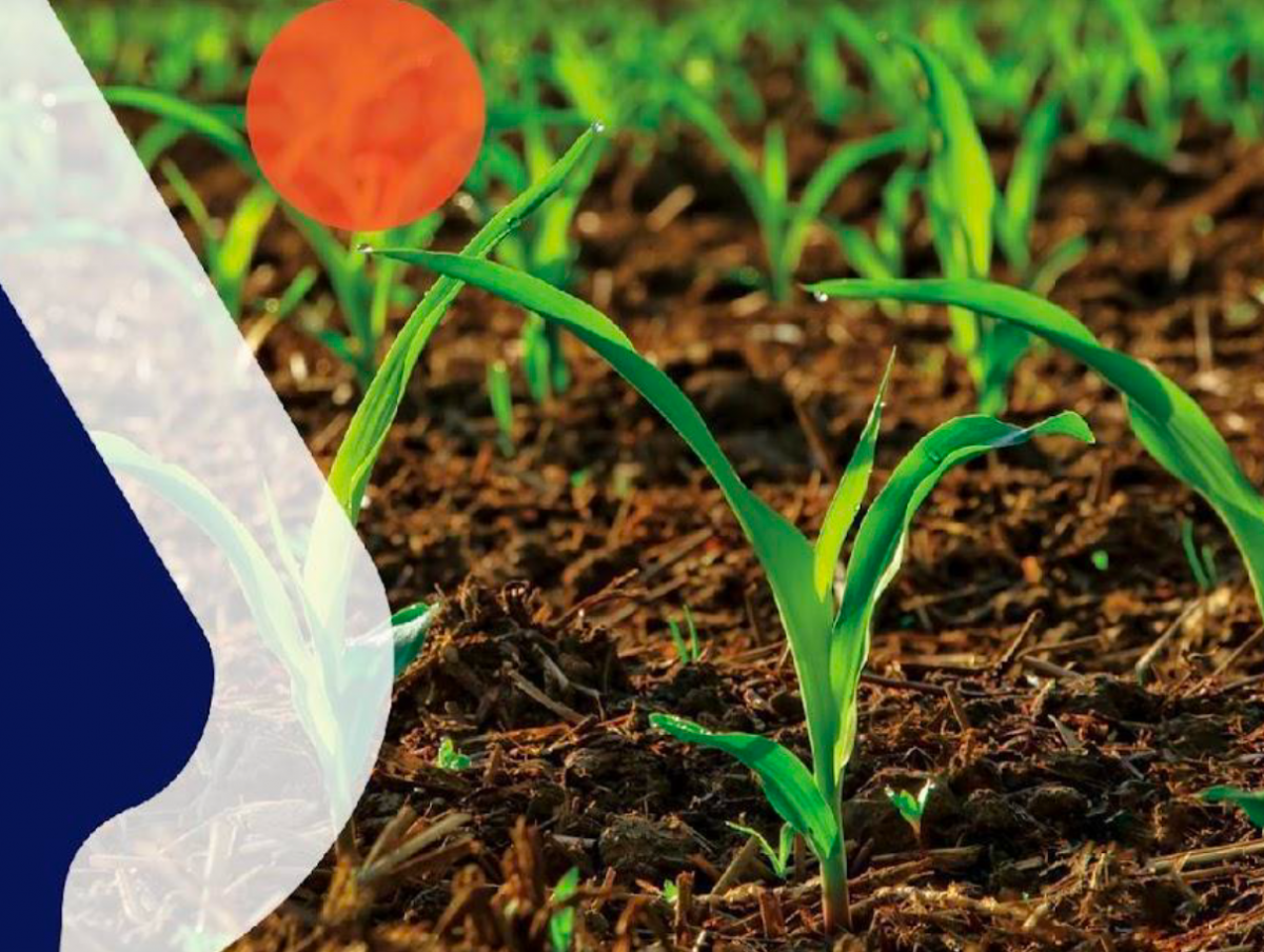 Staphyt - Agroscience and regulatory affairs service provider