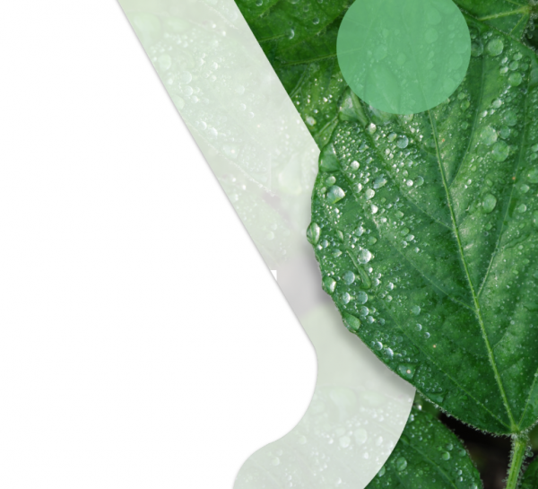 Staphyt - Agroscience and regulatory affairs service provider