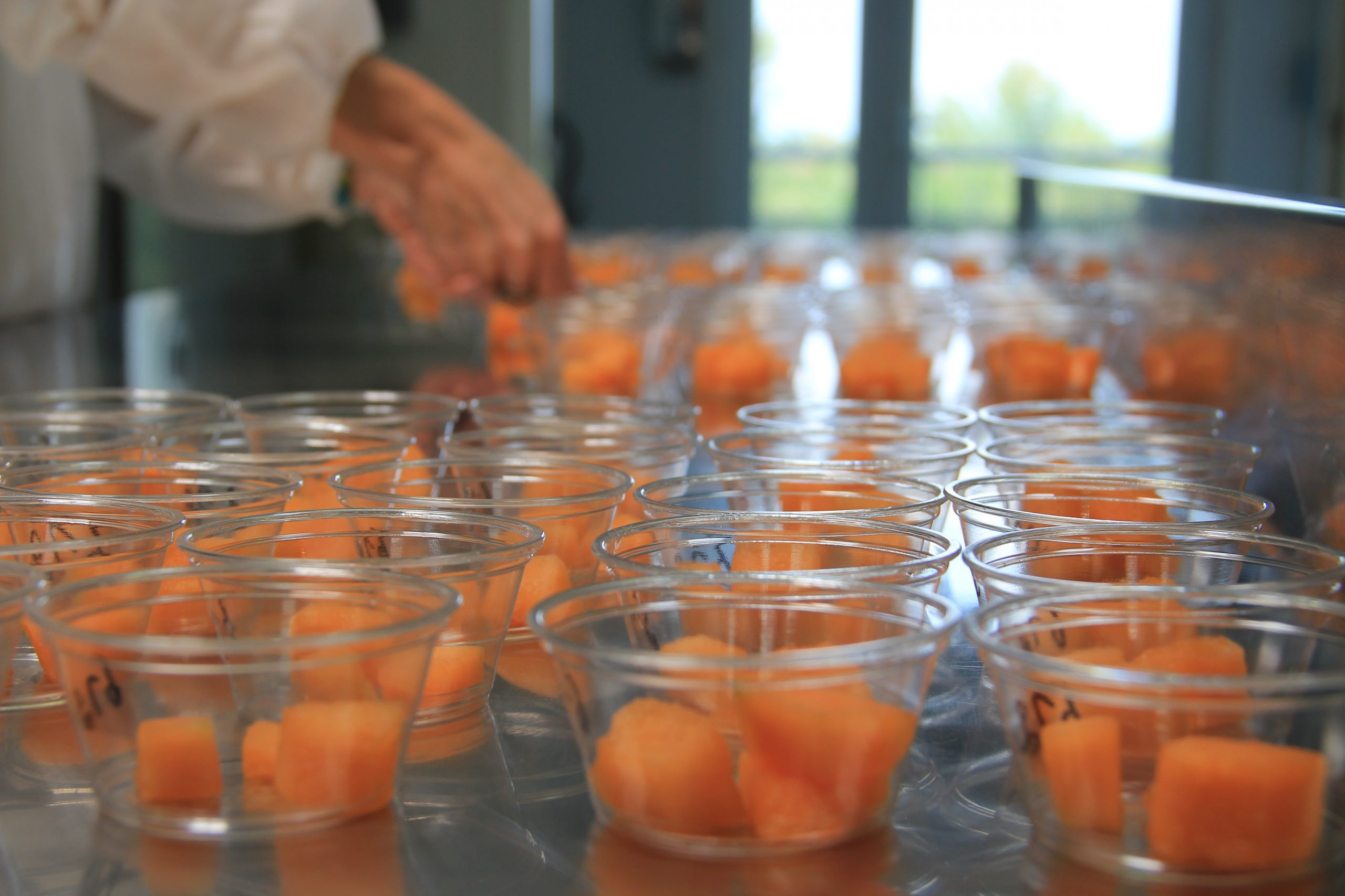 Staphyt’s state-of-the-art food processing laboratory for product testing